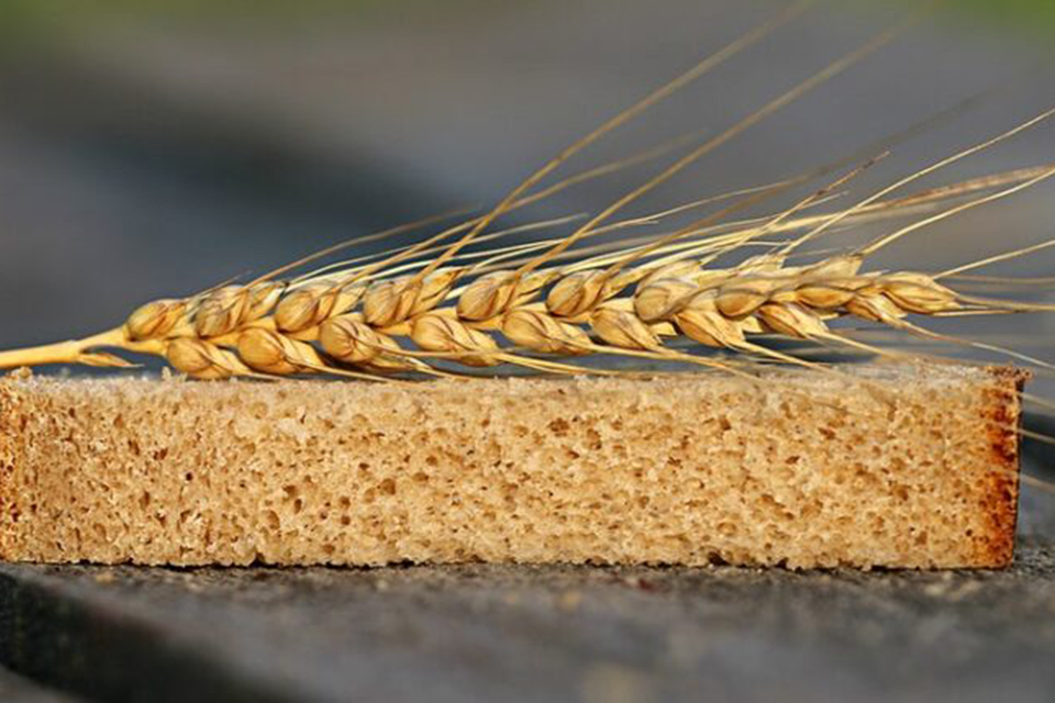 ¿Cuáles son los síntomas de la enfermedad celíaca? – Canal Salud ALUMA